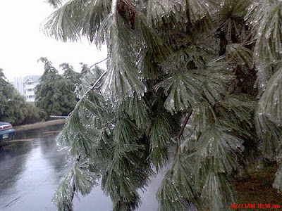 METEOSOJUELA. " Tu tiempo en el momento": RECTIFICACION FOTOS LLUVIA HELADA