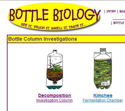 A Southern Affair at Home: Bottle Biology - at home science