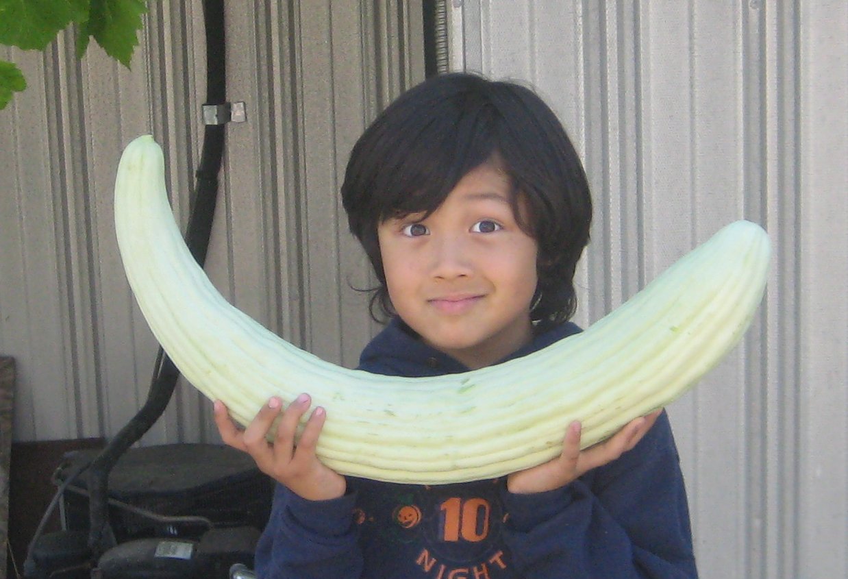 Otow Orchard Fruit Stand: Uri