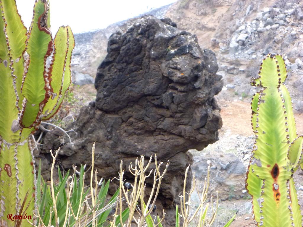 NUESTRA ISLA : TENERIFE: ANIMALES DE ROCA ¿ A CUAL SE PARECE