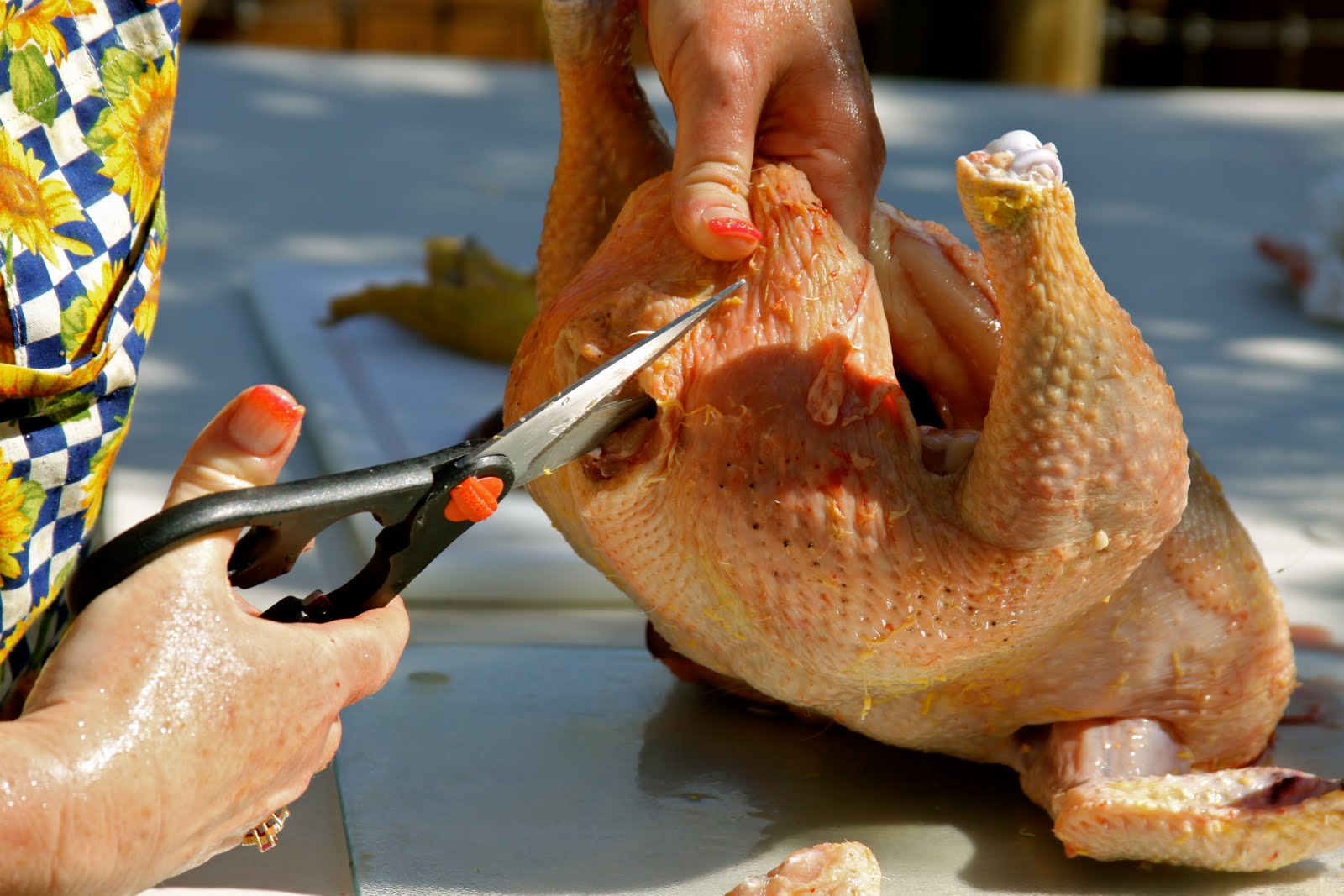 Homestead Revival: Processing Meat Chickens