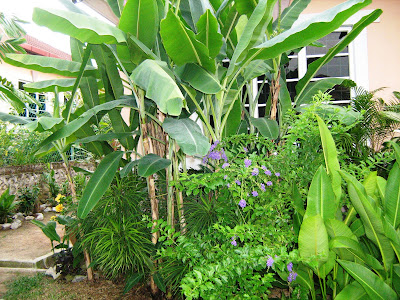 ~sWeeT LiFe of miNe~: Taman Syurga Bonda