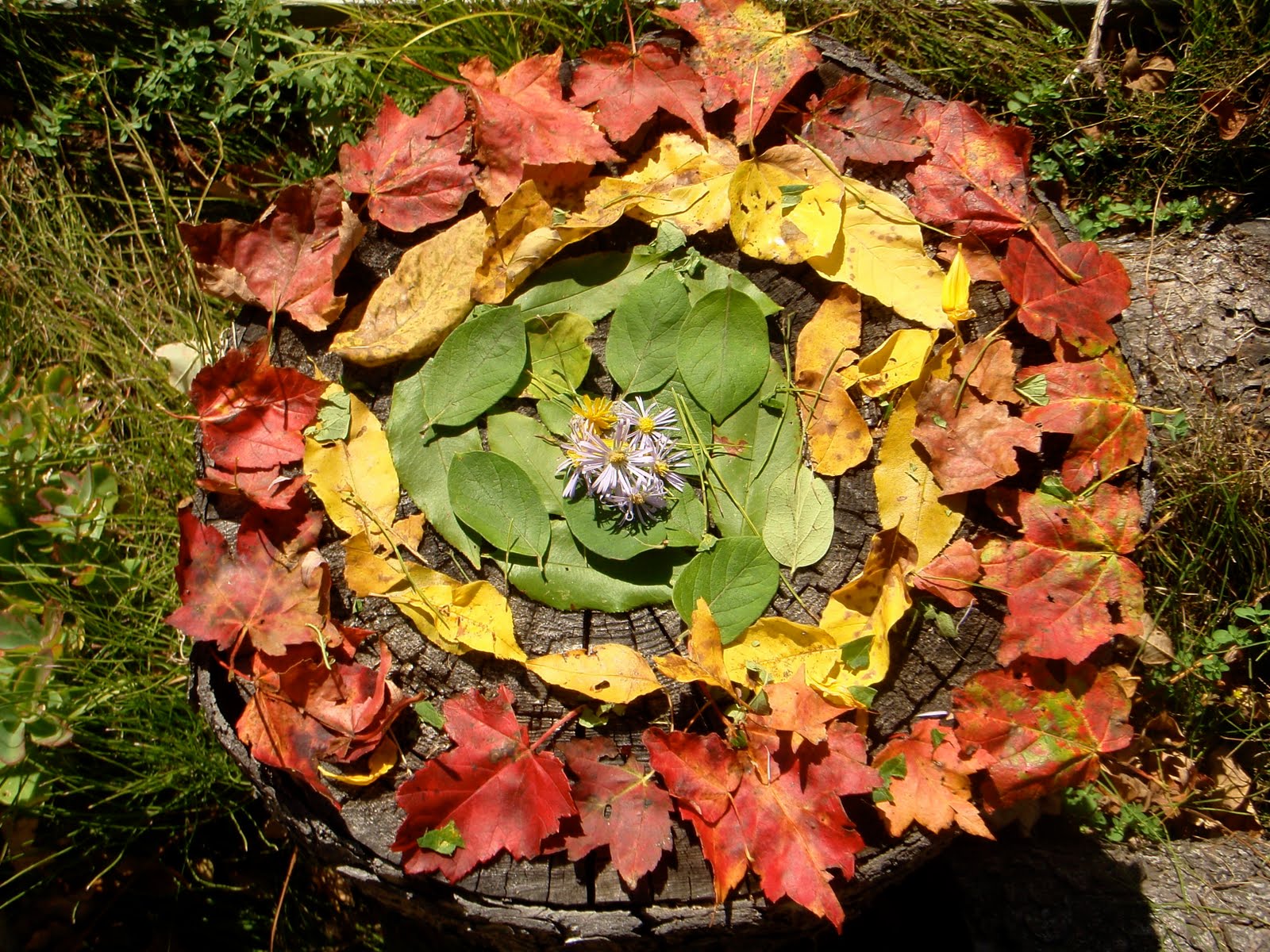 Fayston Elementary Art: Andy Goldsworthy