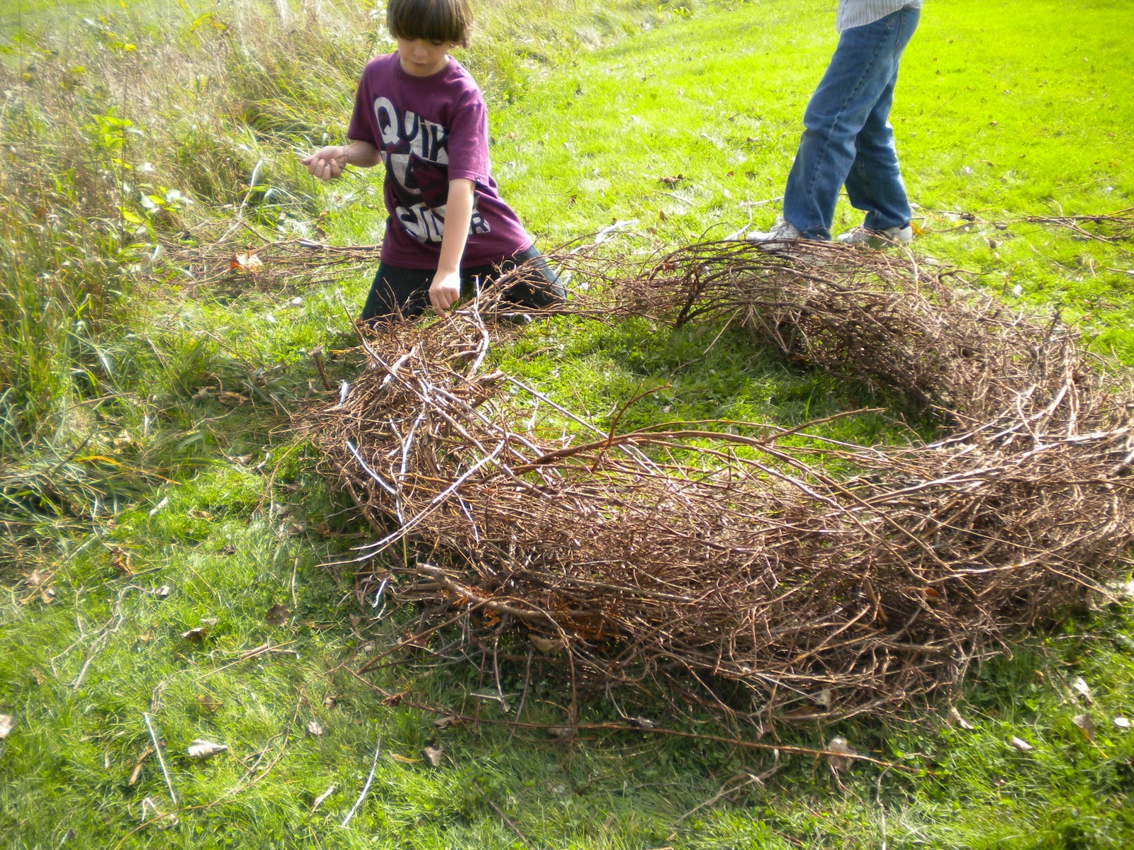 Waitsfield Elementary Art: More Andy Goldsworthy-inspired Nature Art