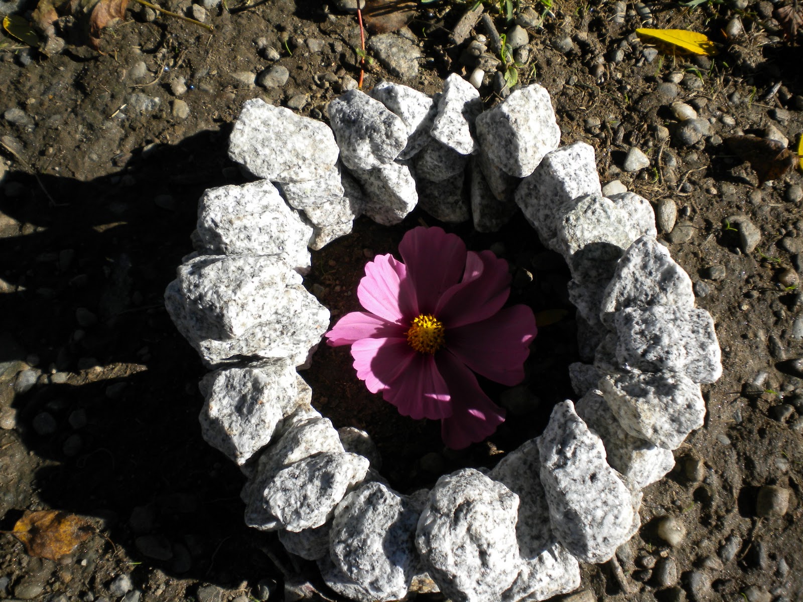 Waitsfield Elementary Art: More Andy Goldsworthy-inspired Nature Art