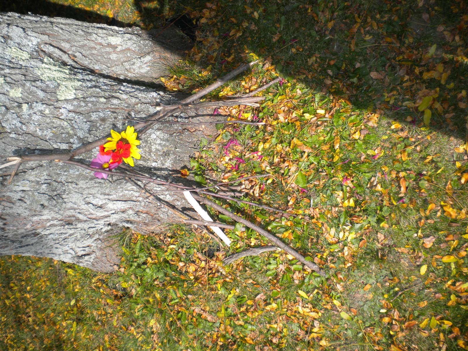 Waitsfield Elementary Art: More Andy Goldsworthy-inspired Nature Art