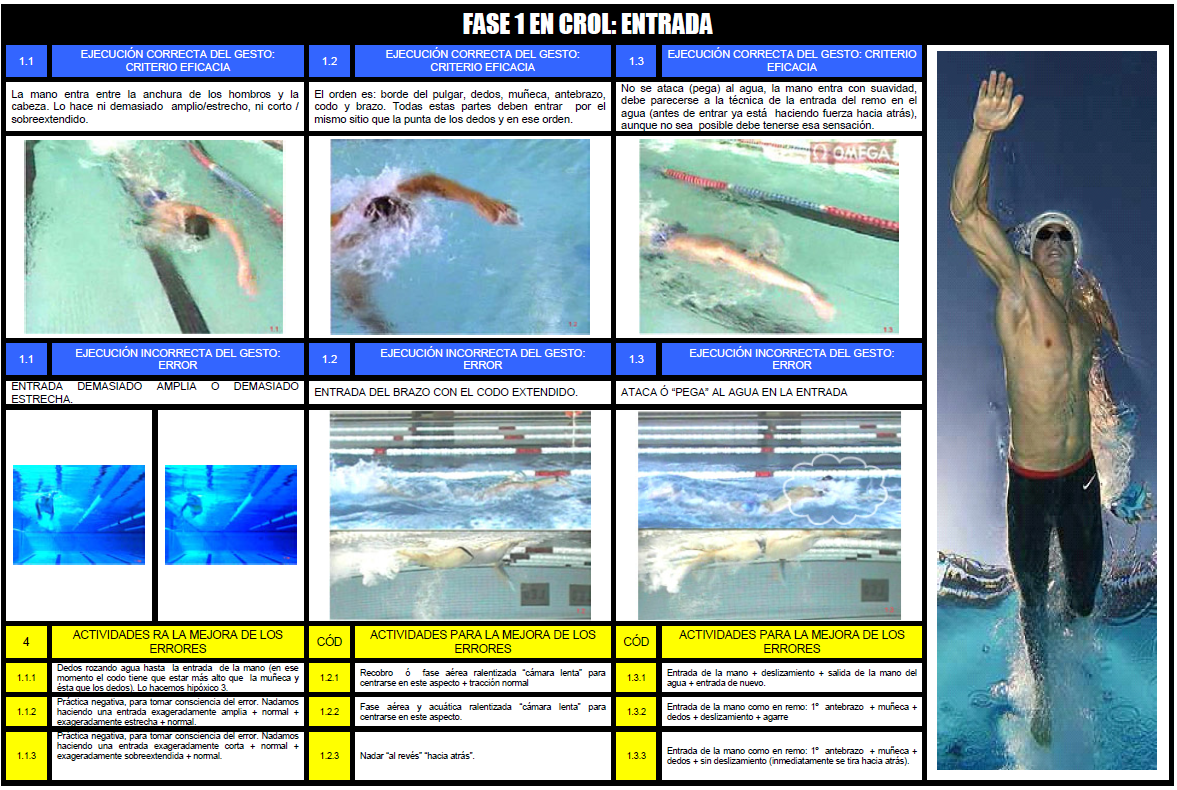 Chema Muñoz - Triathlon Triatlon Life: Programa Guia Natacion Ficha 1