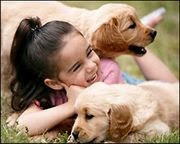 Aprendiendo a vivir: ¡La convivencia con los animales nos hace mejores ...