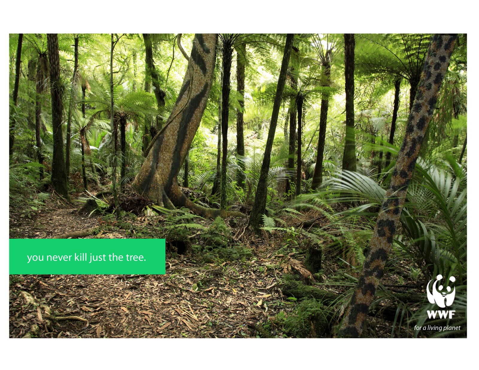 Summer,Winter and the Pursuit of Happiness: WWF Rainforest Ad