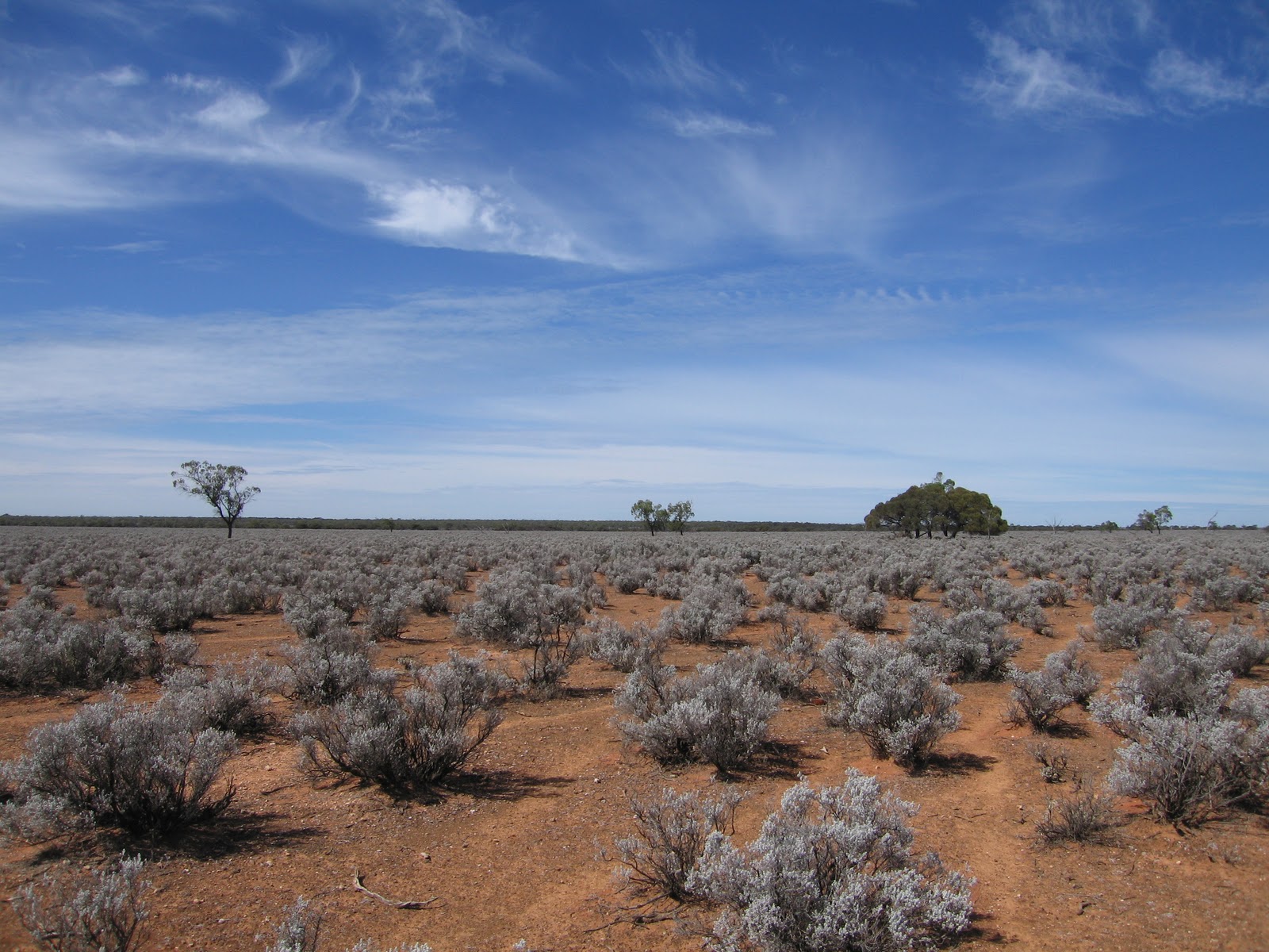 Merritt's Journey: Places and Paths I have traveled