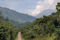 A Journey Through Guatemala: The Biodiversity in the Ixil Triangle