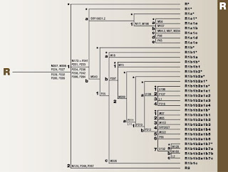 RJ's R2 Blog: Haplogroup R Tree