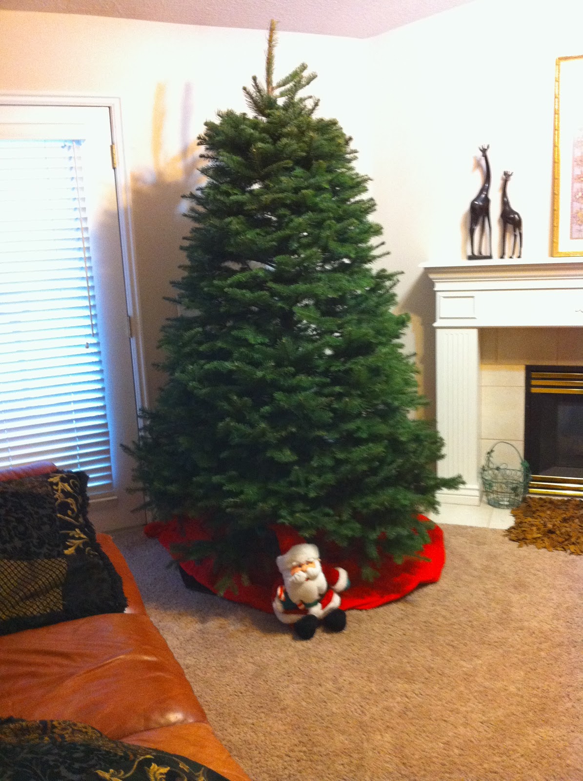 Berfert The Christmas Tree (Before and After) | Janiel Miller - We Got ...