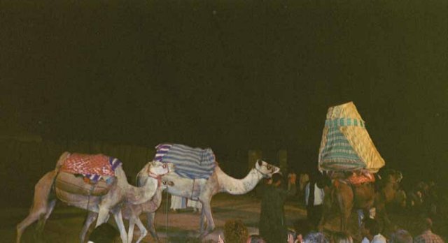 djerba web: Le mariage Djerbien