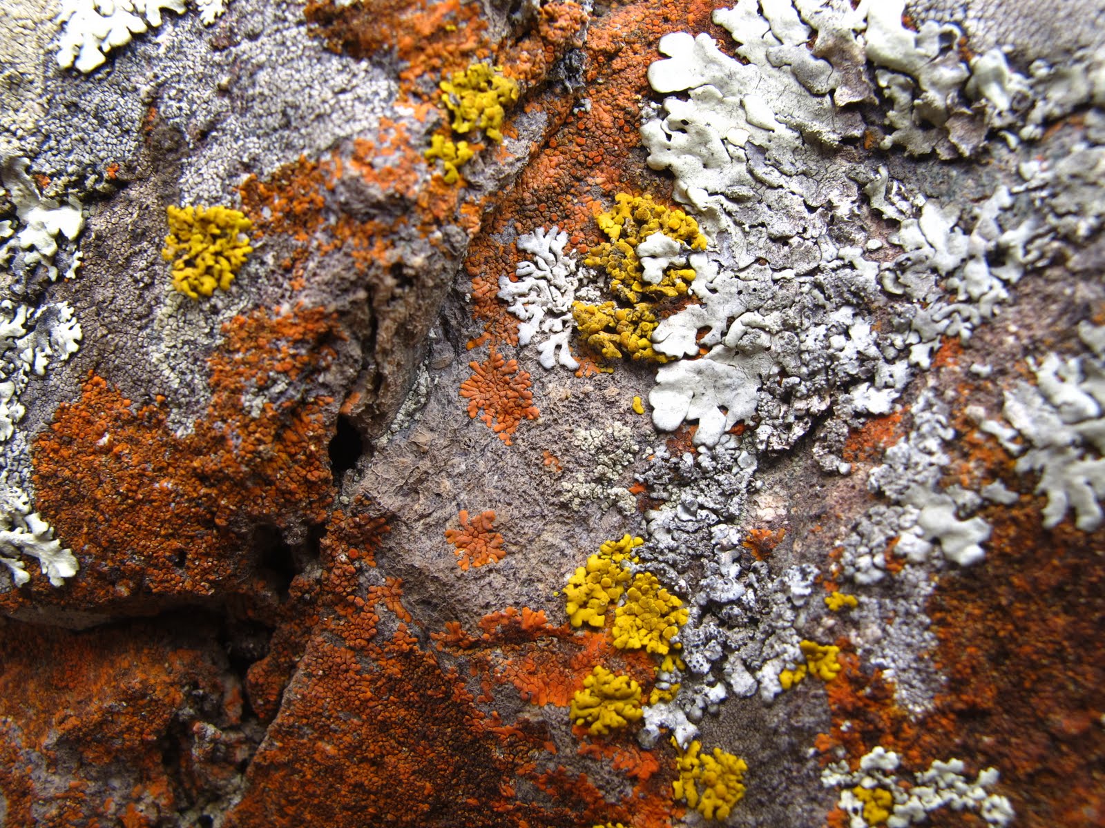 Wie gehts eigentlich Fix, Tino und Bernd?: Cusco und das Heilige Tal
