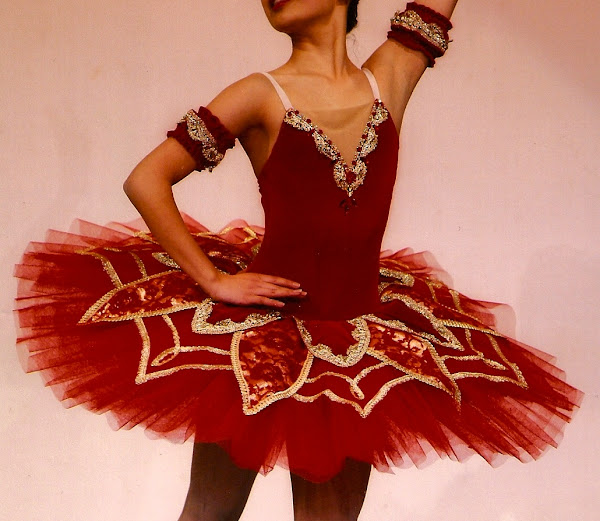 Tutus by Dani: Learn to make a classical tutu