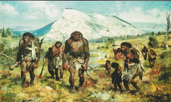 Mundo Curioso: As Primeiras Intervenções do Homem no Meio Ambiente