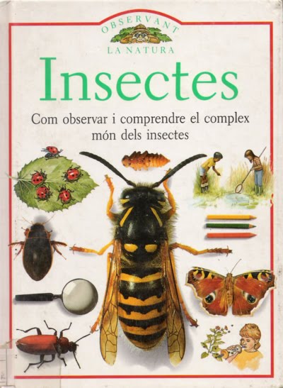 Llibre dels insectes ed. cruïlla | Insects, Understanding, Kindersley