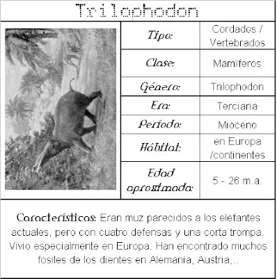 BIO4INA: Trilophodon