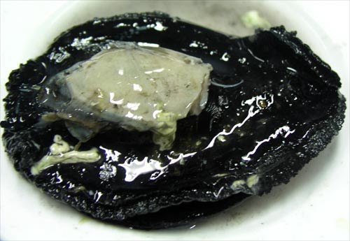 Please, Contain Your Excitement: Paua