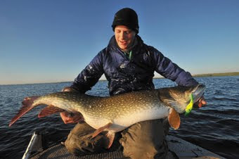 PIKE ANGLERS CLUB : Does this picture show a record pike..?