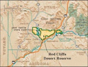 The Mountain and Desert Beauty of St. George, Utah, USA: Red Cliffs ...