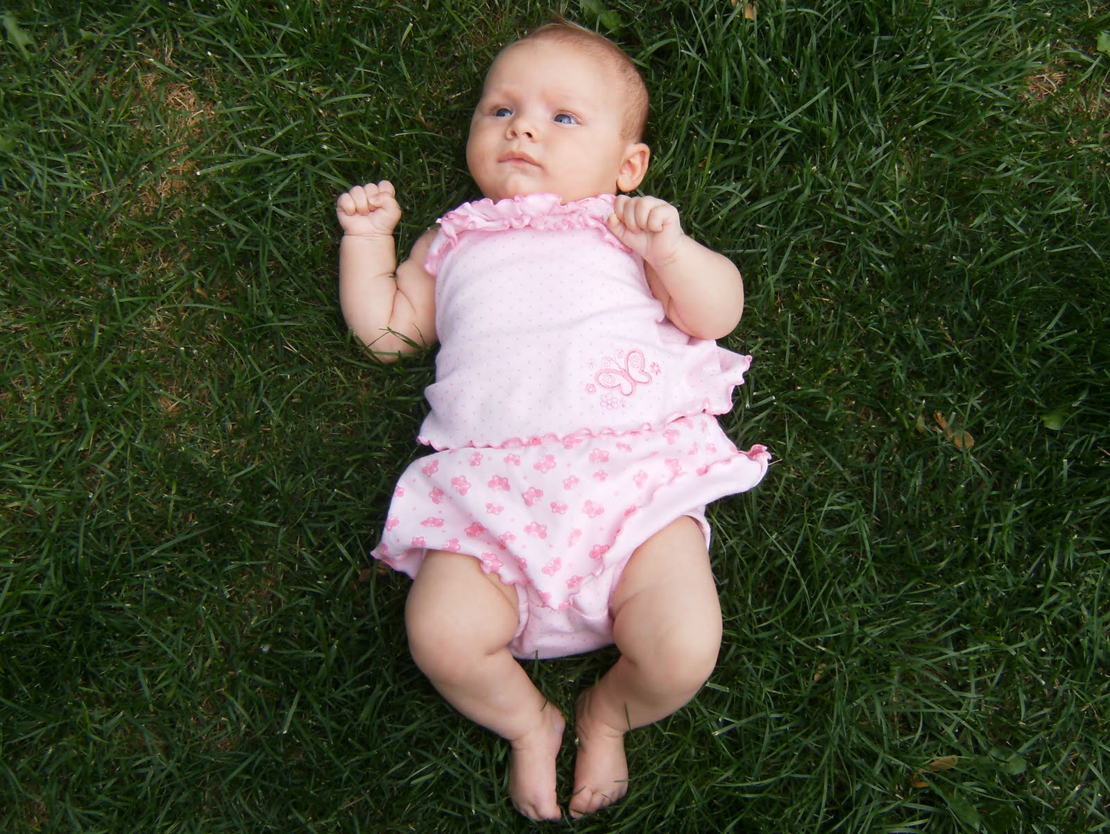 Birdie Girl and Baby Jack: Gabriella - 10 weeks old!