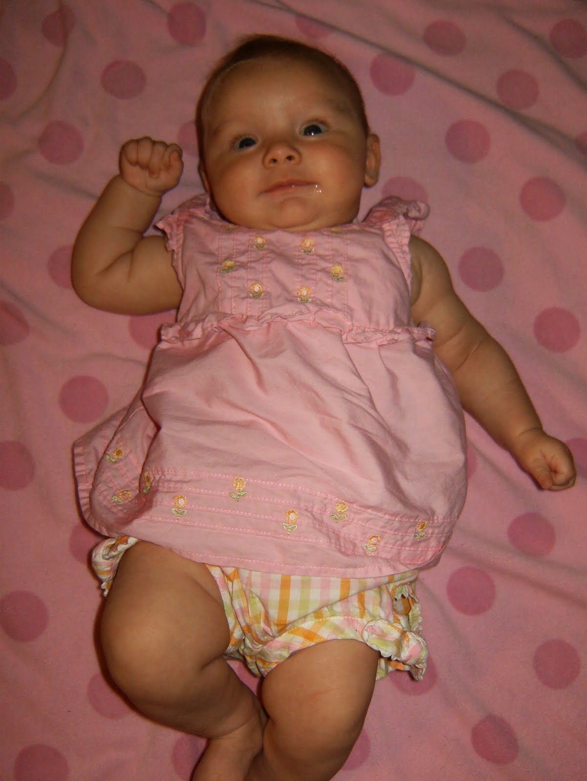 Birdie Girl and Baby Jack: Gabriella ~ 12 and 13 weeks old