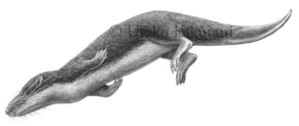 Utako Kikutani Illustration: 1月 2009