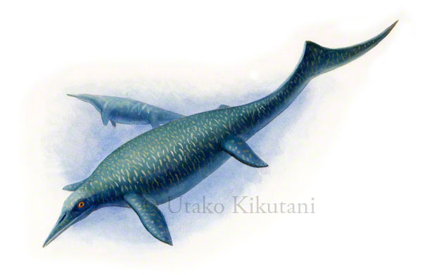 Utako Kikutani Illustration