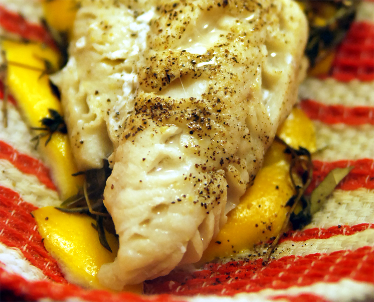 Ancient Fire Beverage Blog: The Many Flavors of Meyer Lemons – Act 1