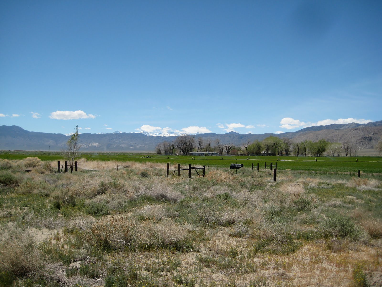 Society for Range Management Blog: CalPac Section Meeting at Deep ...