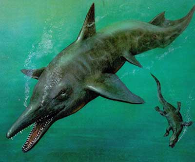 PALAEOBLOG: Triassic Extinction Recovery Took 10 Million Years