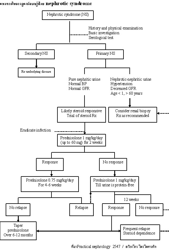 Phimaimedicine: 790. Nephrotic syndrome