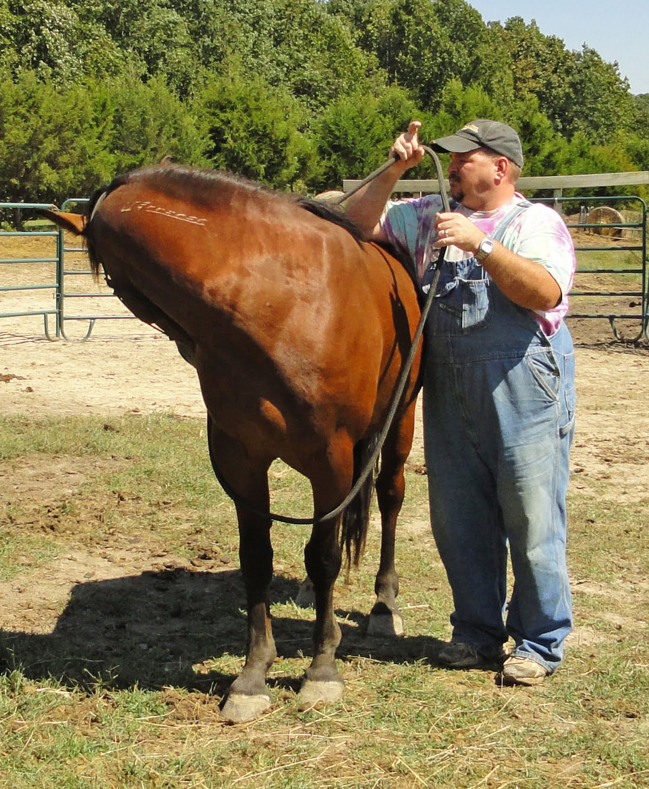 Mustang Dreams....: Finally made it back to the saddle....Labor Day ...
