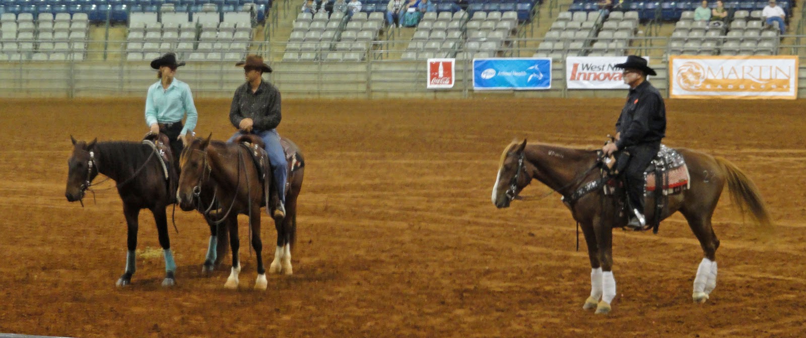 Mustang Dreams....: Tennessee Extreme Mustang Makeover.....as spectators!