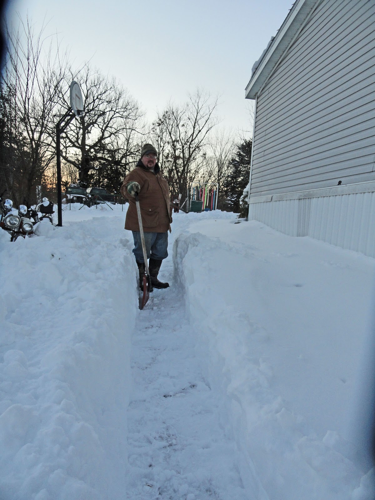 Mustang Dreams....: Tracks in the snow ......a story without words...