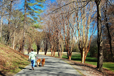 Recollections of a Vagabonde: A promenade in Lullwater Park - Emory ...