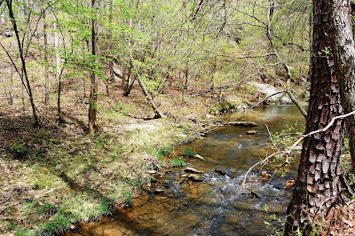 Recollections of a Vagabonde: Pickett’s Mill Battlefield State Historic ...