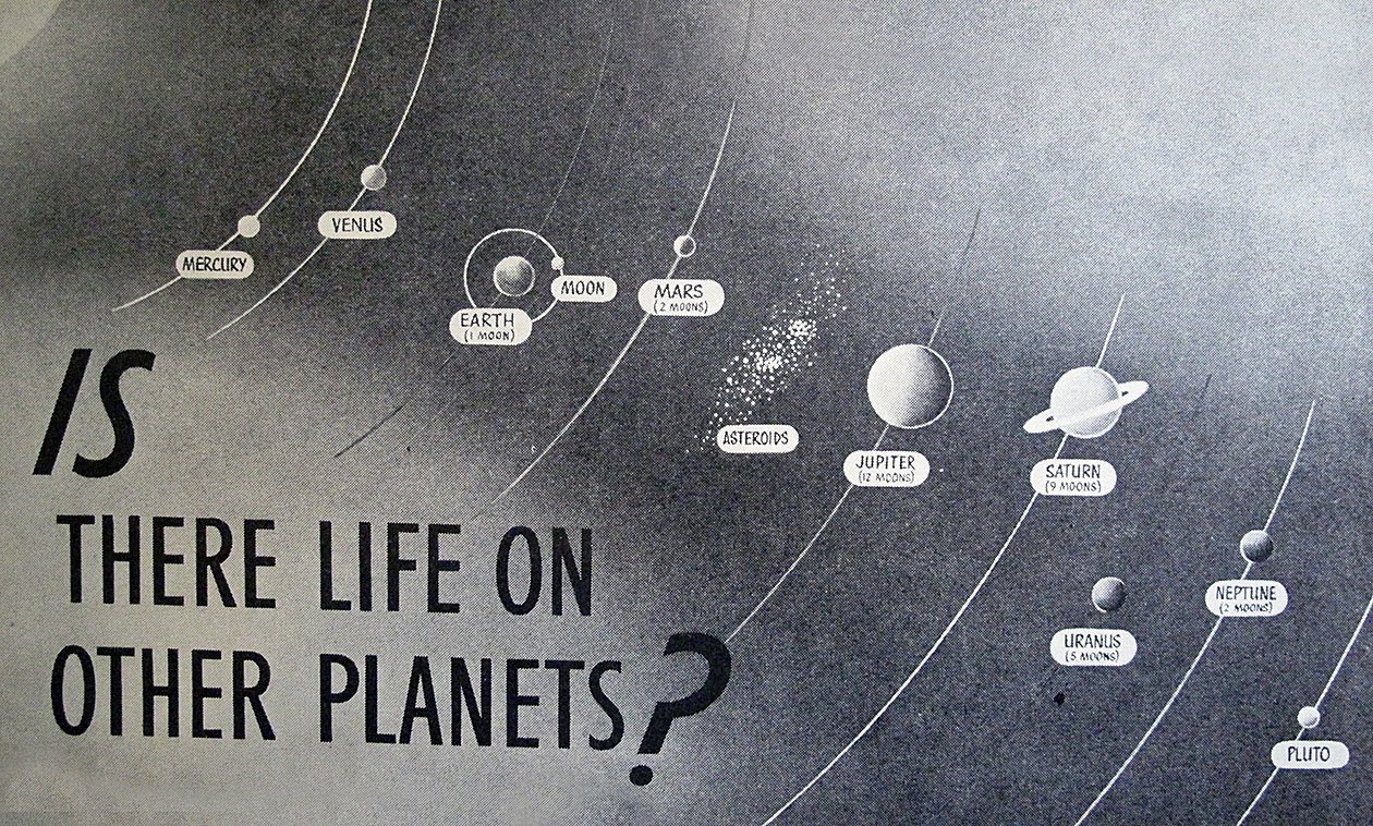 Agony Cat: Life On Other Planets