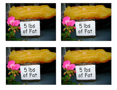 THE BREWER FAMILY: -22lbs and counting