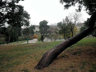 ΠΟΛΙΤΙΣΤΙΚΗ ΦΩΤΟΓΡΑΦΙΚΗ ΠΕΡΙΒΑΛΛΟΝΤΙΚΗ ΟΜΑΔΑ-----: ΚΗΠΟΙ ΤΟΥ ΠΑΣΑ