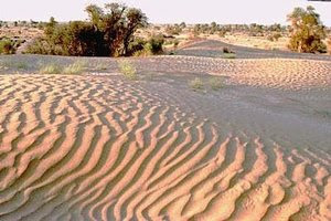 WELCOME TO MY WORLD: Cholistan (Rohi): Part of Great Desert Called ...