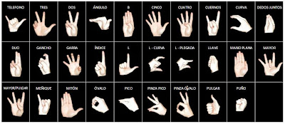 Lenguaje de Señas y de Signos: Configuración