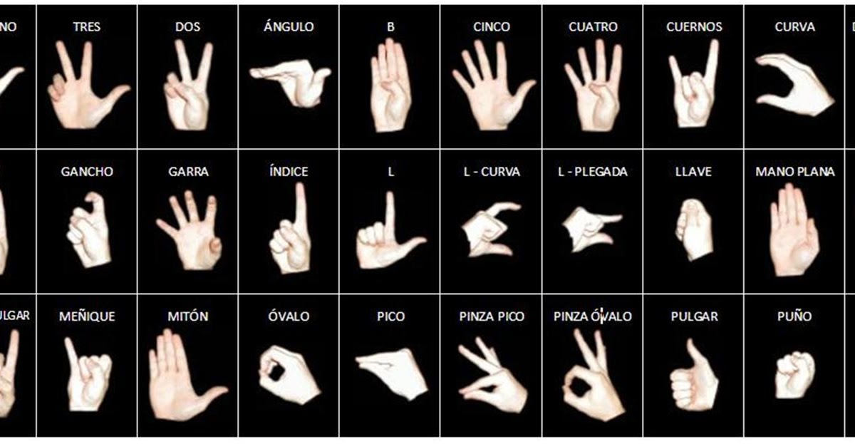 Lenguaje de Señas y de Signos: Configuración
