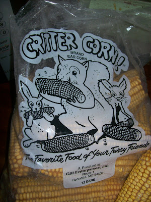 raggedy angel: Making Beeswax Corn and More