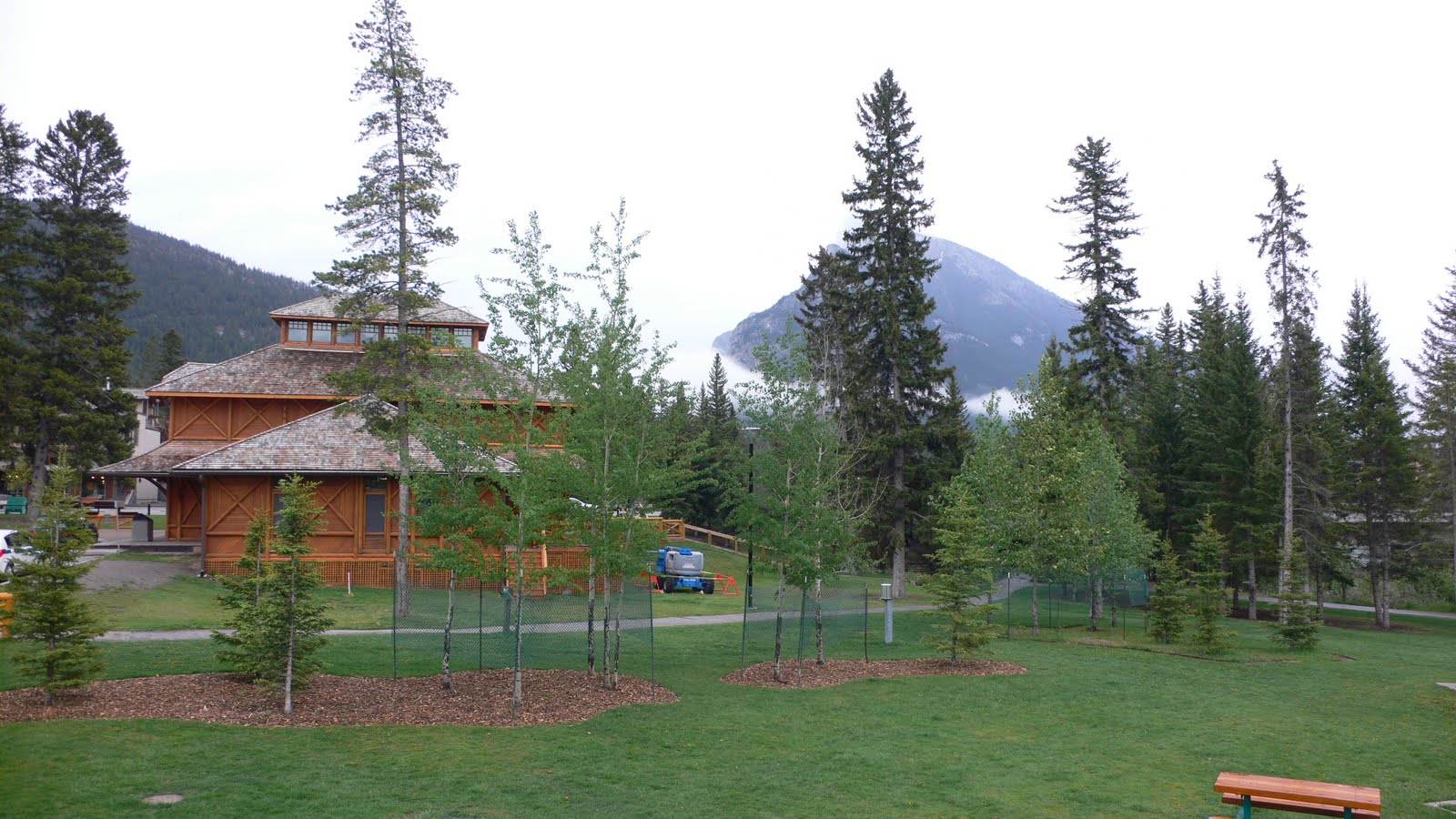 Musings on Public History: Banff Park Museum