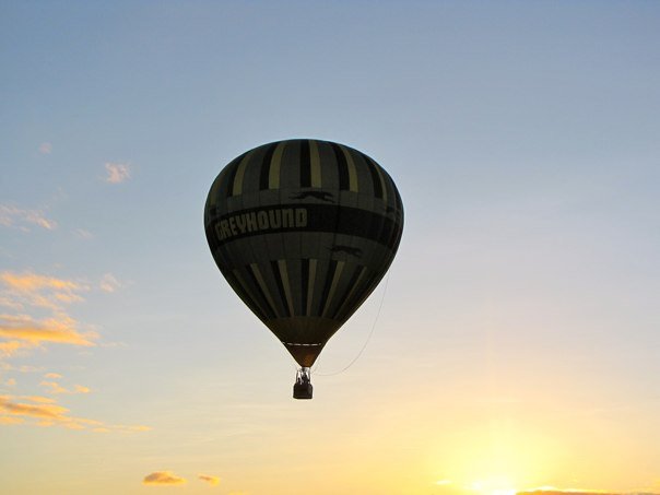 Philippine International Hot Air Balloon Fiesta
