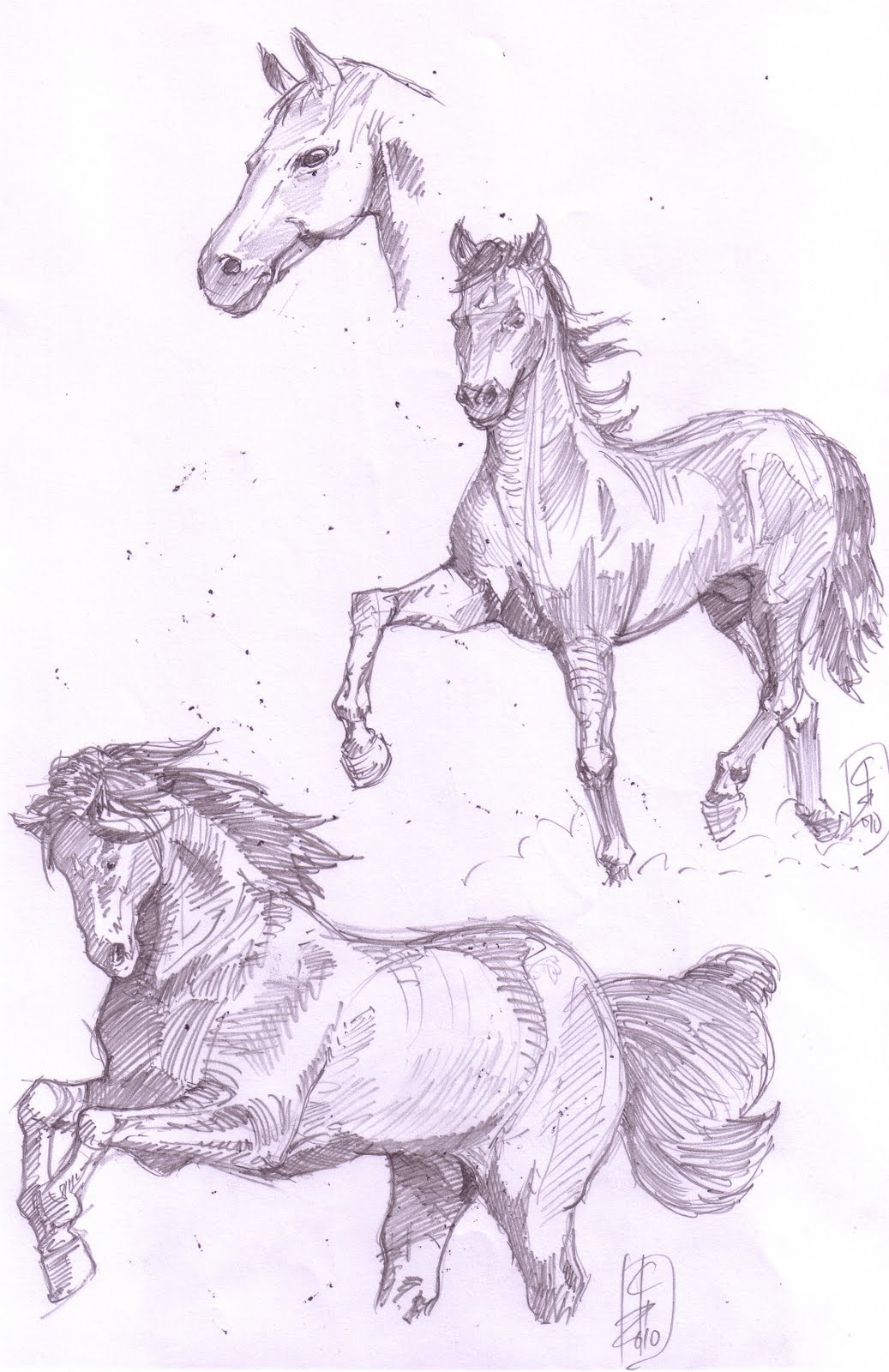 Dibujos artisticos de caballos - Imagui