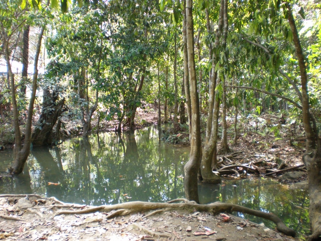 AMANJOURNEY: Aman @ Bukit Ayer, Perlis